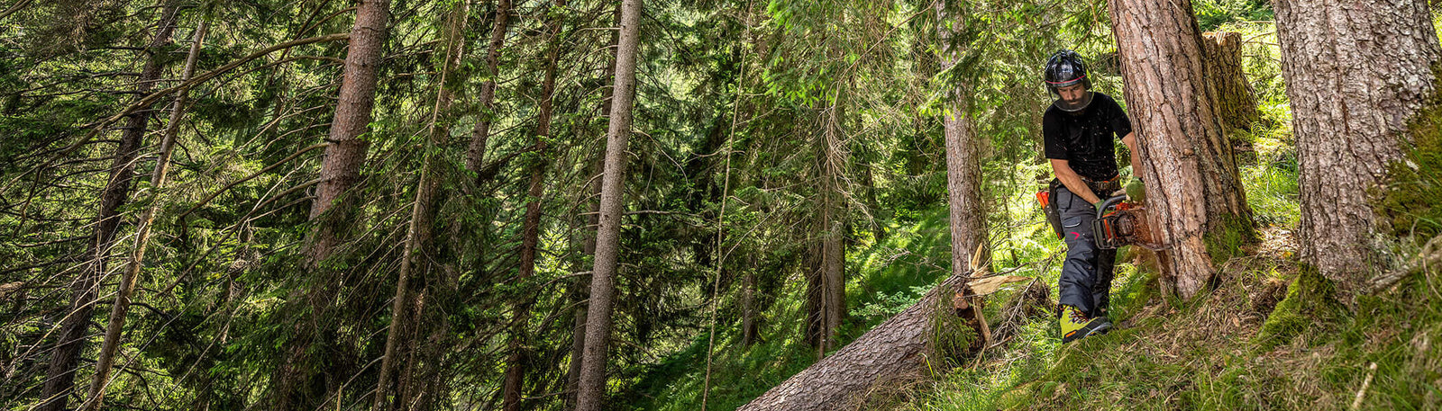 Forestry Boots - Zamberlan North America